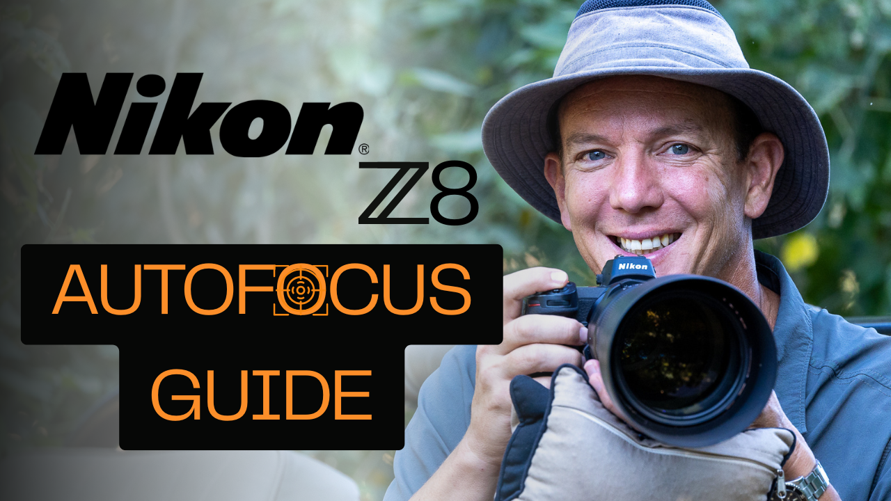 Nikon Z8 Autofocus Setup: A Practical Guide to My Field Settings | C4 ...